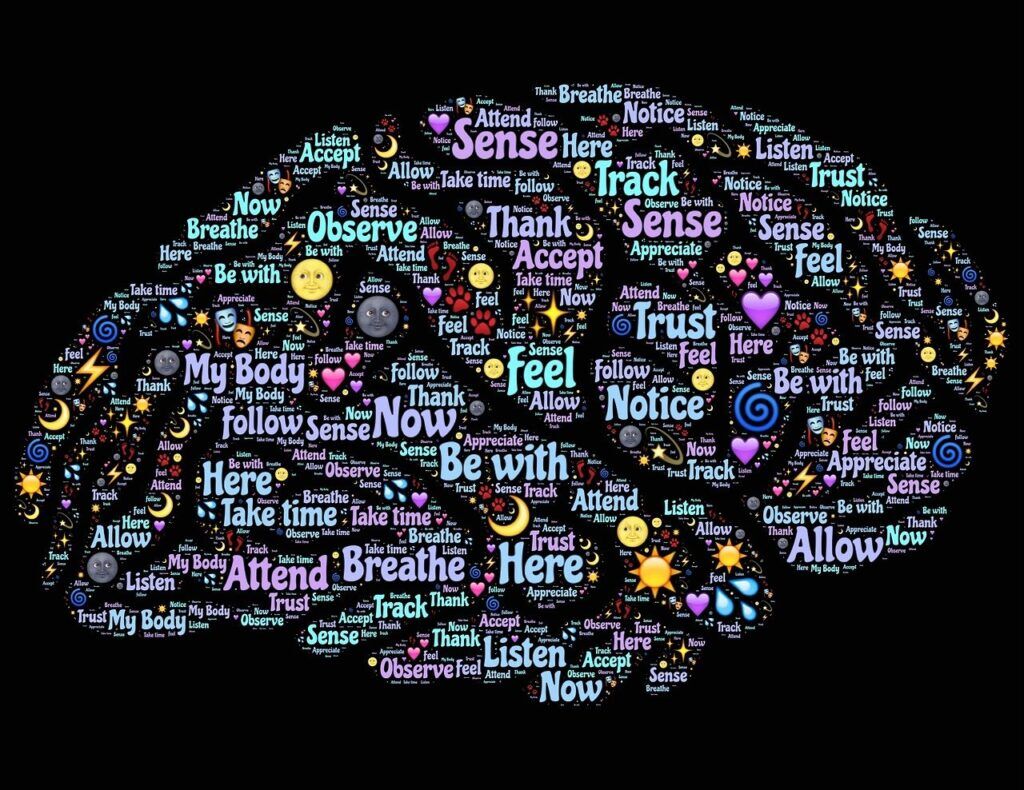 Exploring the Domains of the Scarf Model in Neuroscience and Leadership ...